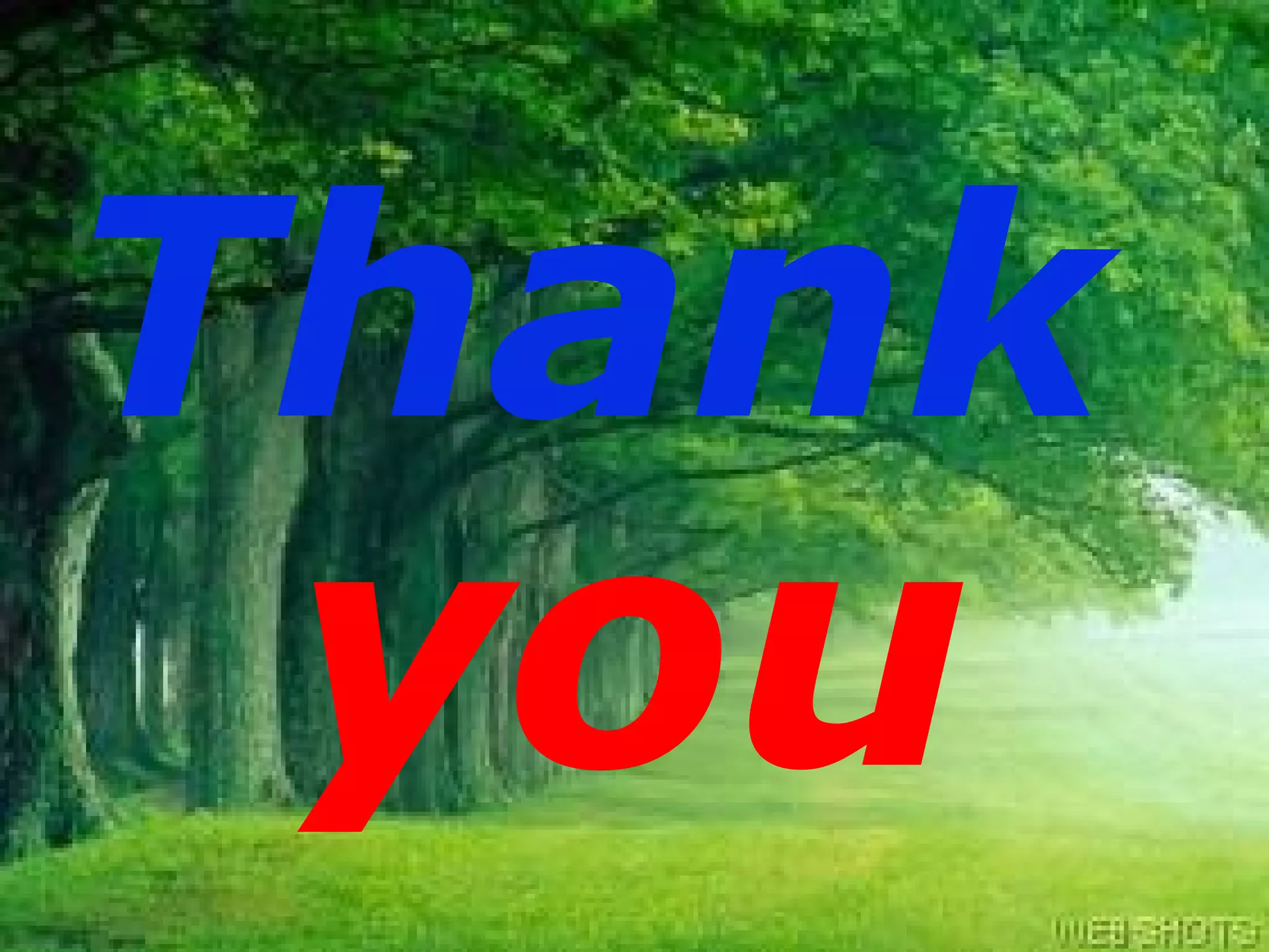 Frankfinn institute of air hostess training grooming assignment | PPT