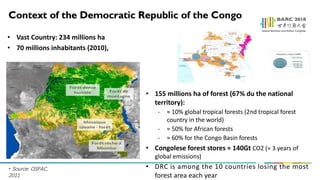 Frank Iragi_State of the Bamboo and Rattan Industry in Congo and its ...