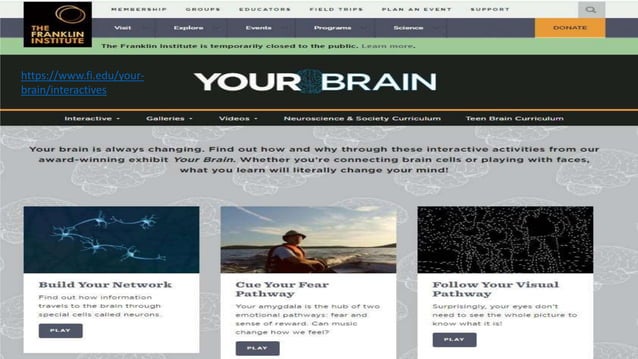 Interactive Museum / Games in Education | PPTX