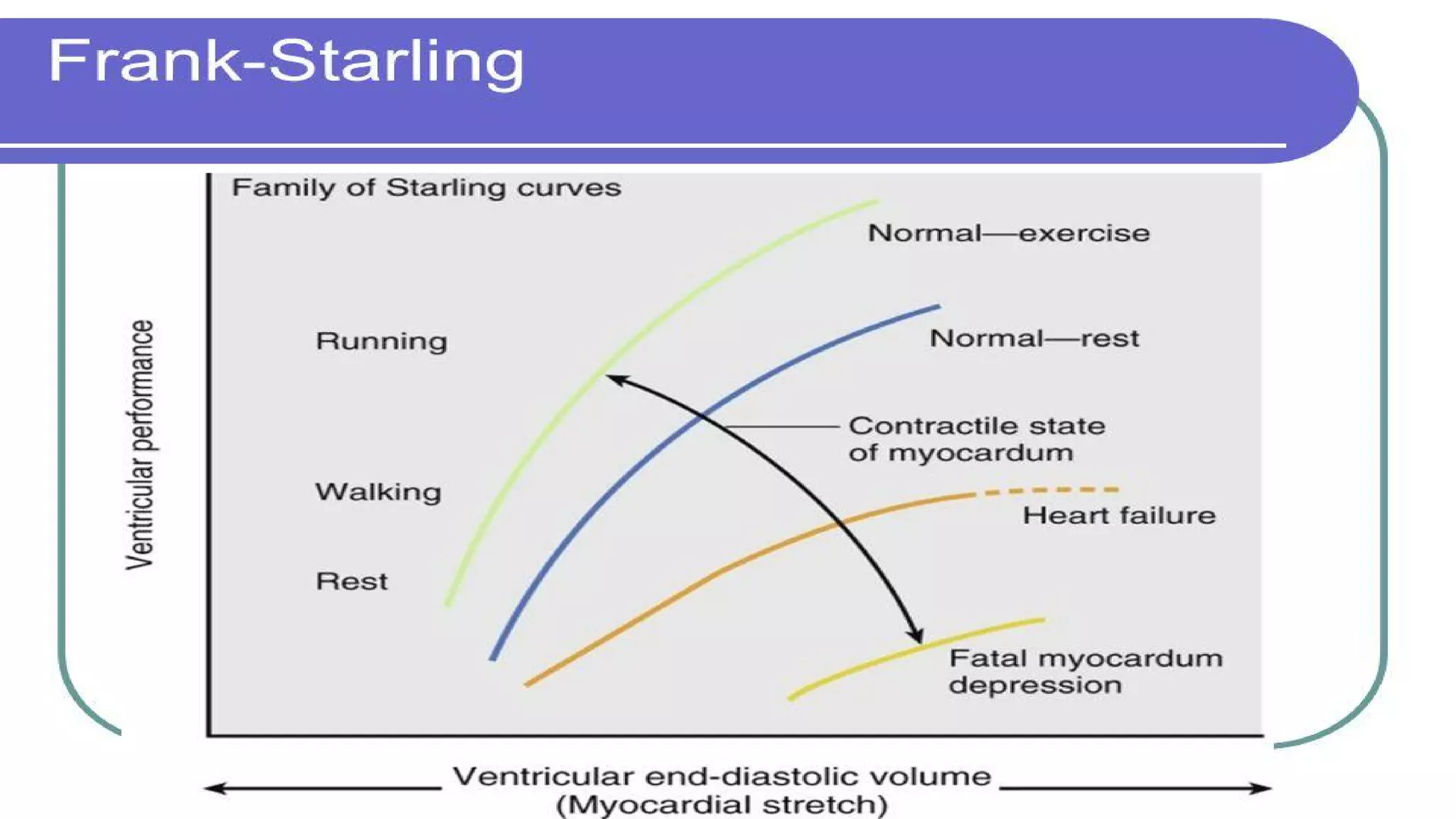 Frank Starling | PDF