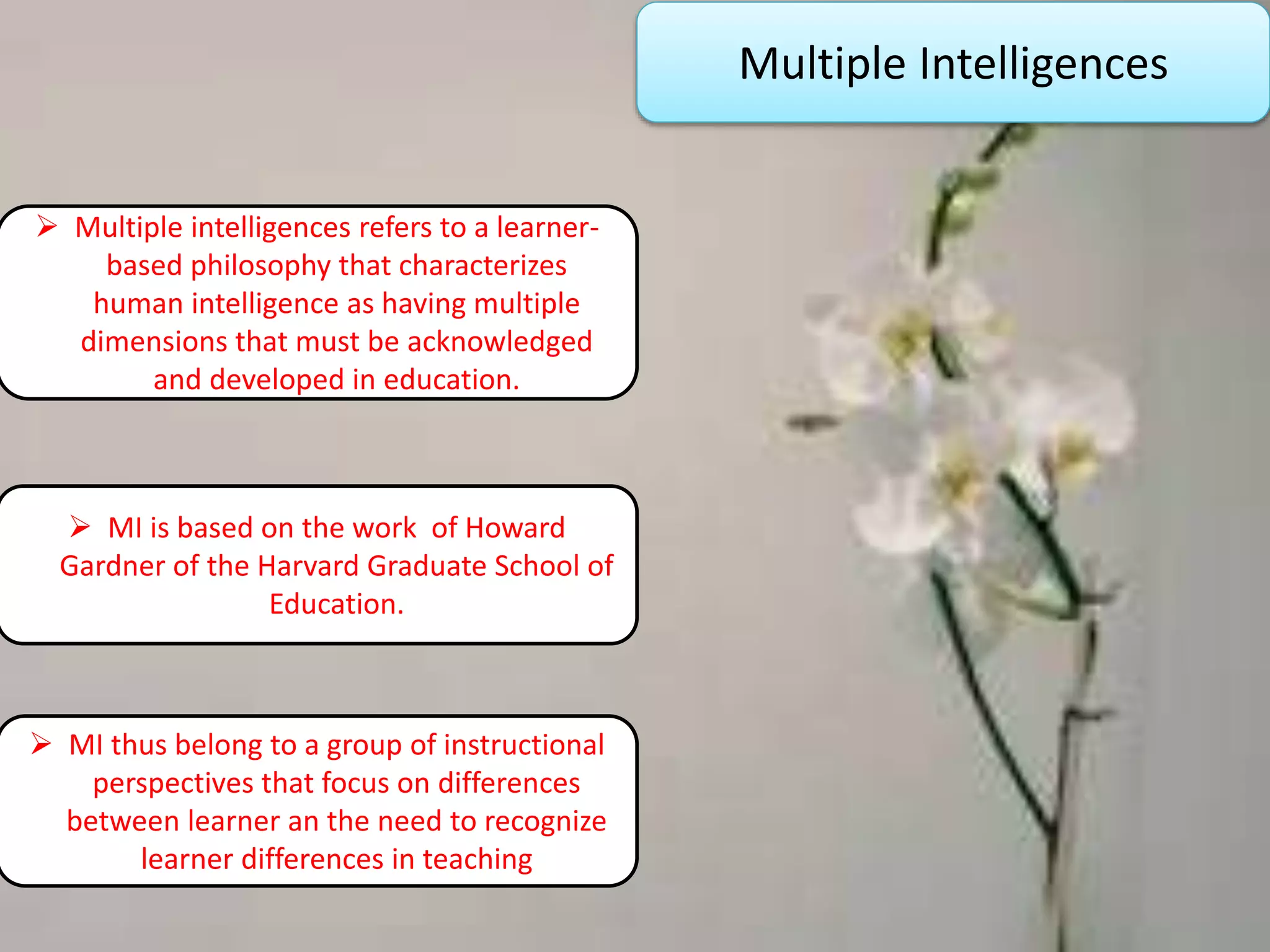 The Multiple Intelligences | PPTX