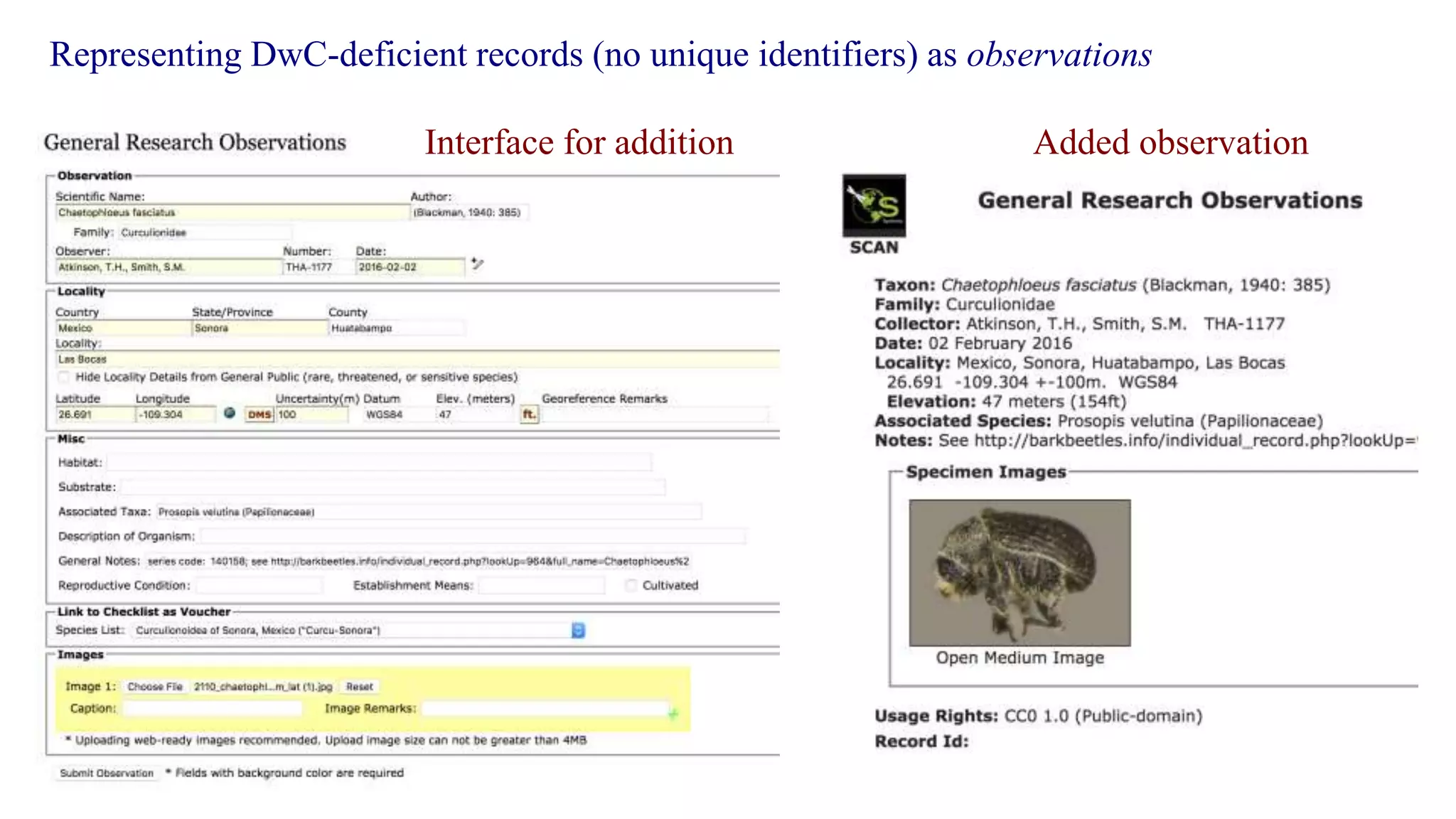 Franz et al 2017 ecn creating and publishing a symbiota based checklist ...