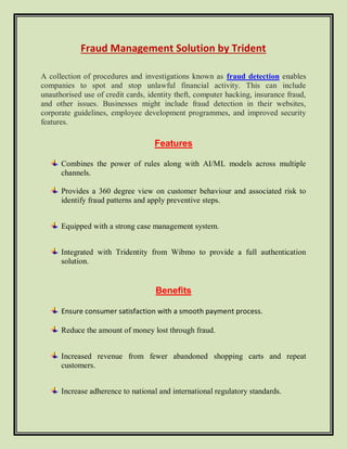 Fraud Detection System Pdf