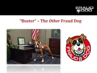 Who is this fraud expert called The Fraud dog? | PPT