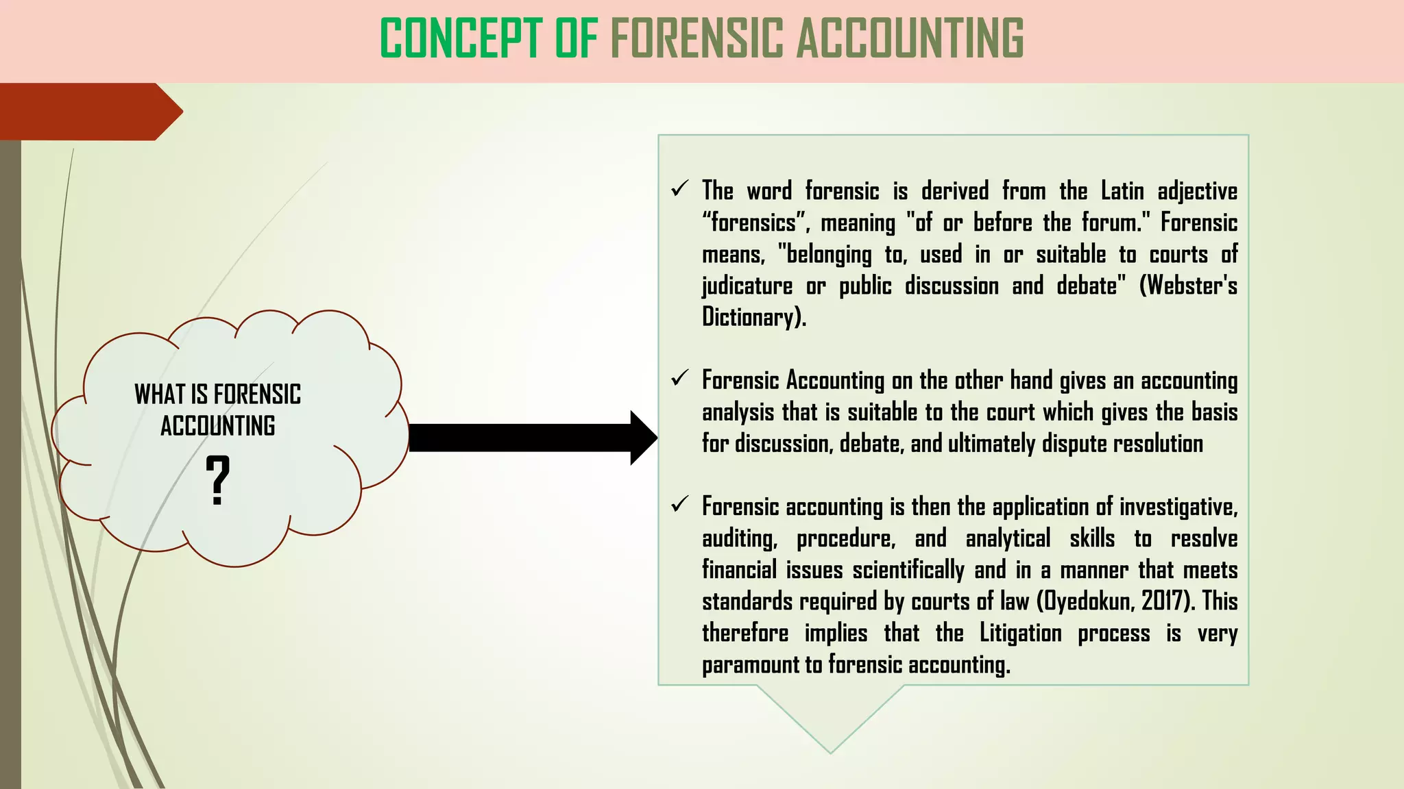 FRAUD IDENTIFICATION IN FORENSIC TAX INVESTIGATION AND RULE OF EVIDENCE ...