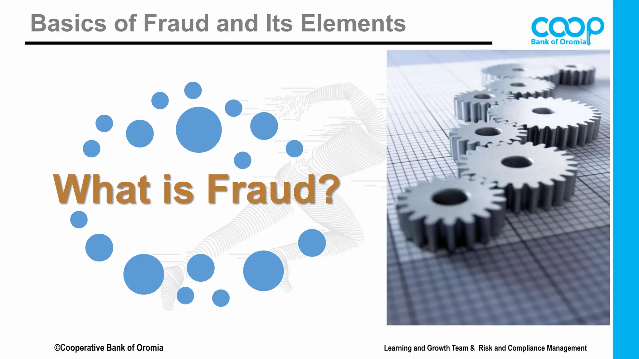 Fraud Management ppt.pptx