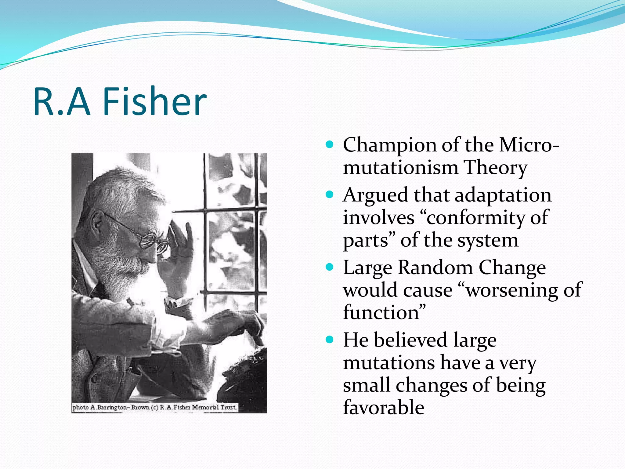 Final Senior Presentation | PPTX