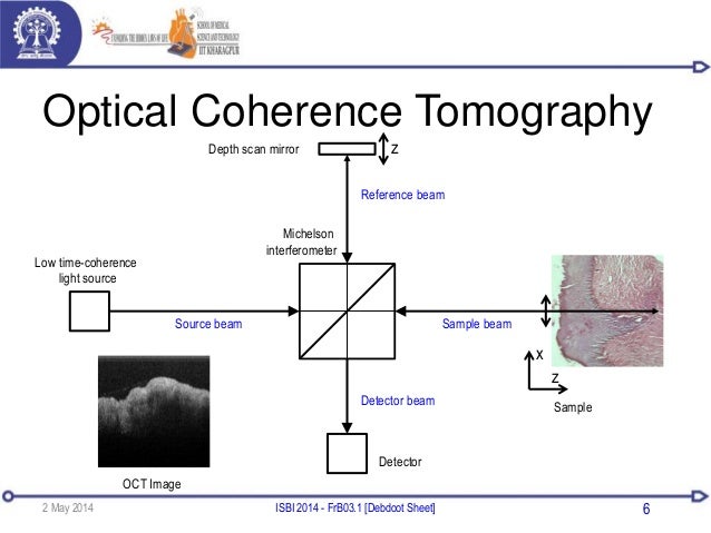 Transfer Learning of Tissue Photon Interaction in Optical Coherence T…