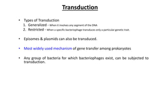 FR Bacterial Genetics.ppt
