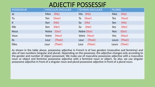 Possessive Adjectives in French Language | PPTX
