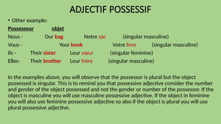 Possessive Adjectives in French Language | PPTX