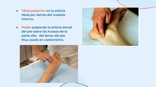 Frecuencia cardiaca | PPTX