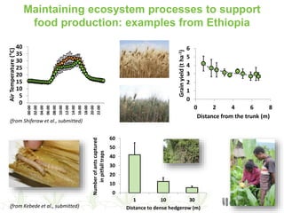 Beyond the land sparing vs. land sharing framework: Views from ...