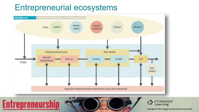 Entrepreneurship: evolution and revolution | PPT