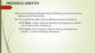 Frederick Griffith's Experiment.ppt GENx | PPTX | Chemistry | Science