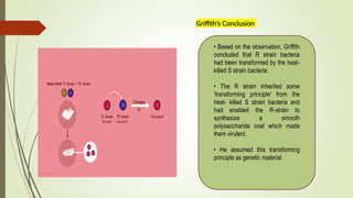 Frederick Griffith's Experiment.ppt GENx | PPTX | Chemistry | Science