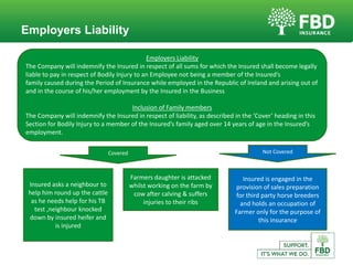 Fred Flynn, FBD Insurance | PPT