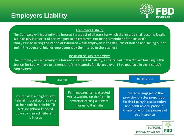 Fred Flynn, FBD Insurance | PPT