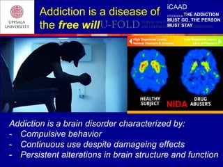 Fred nyberg Power Point iCAAD Stockholm | PPTX