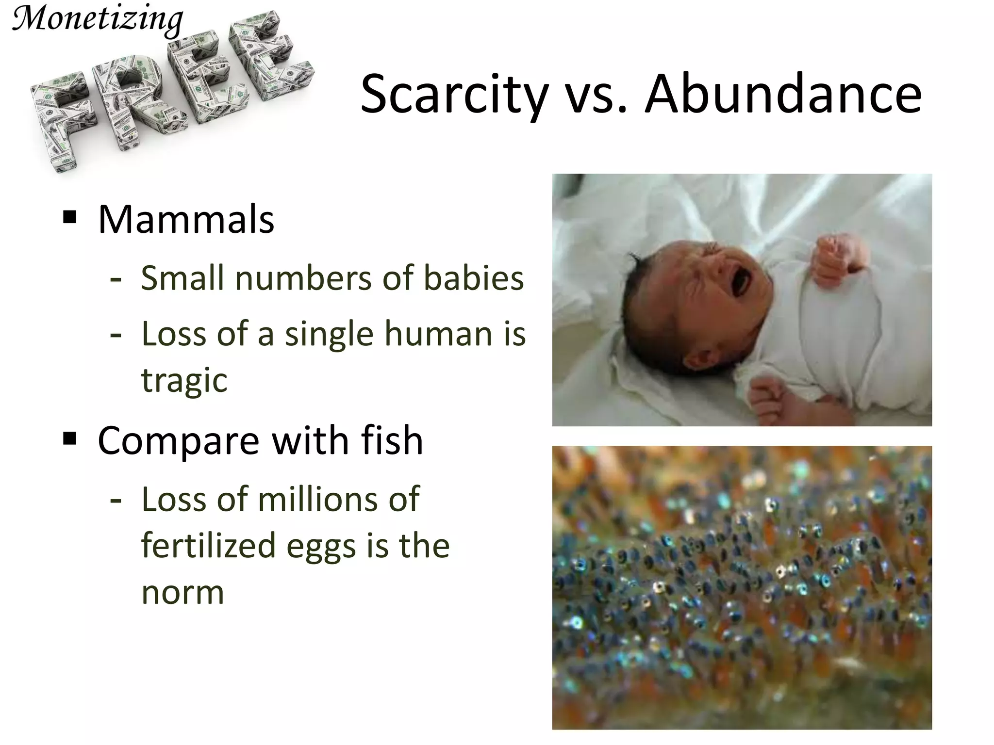 Abundance and Scarcity Thinking | PPT