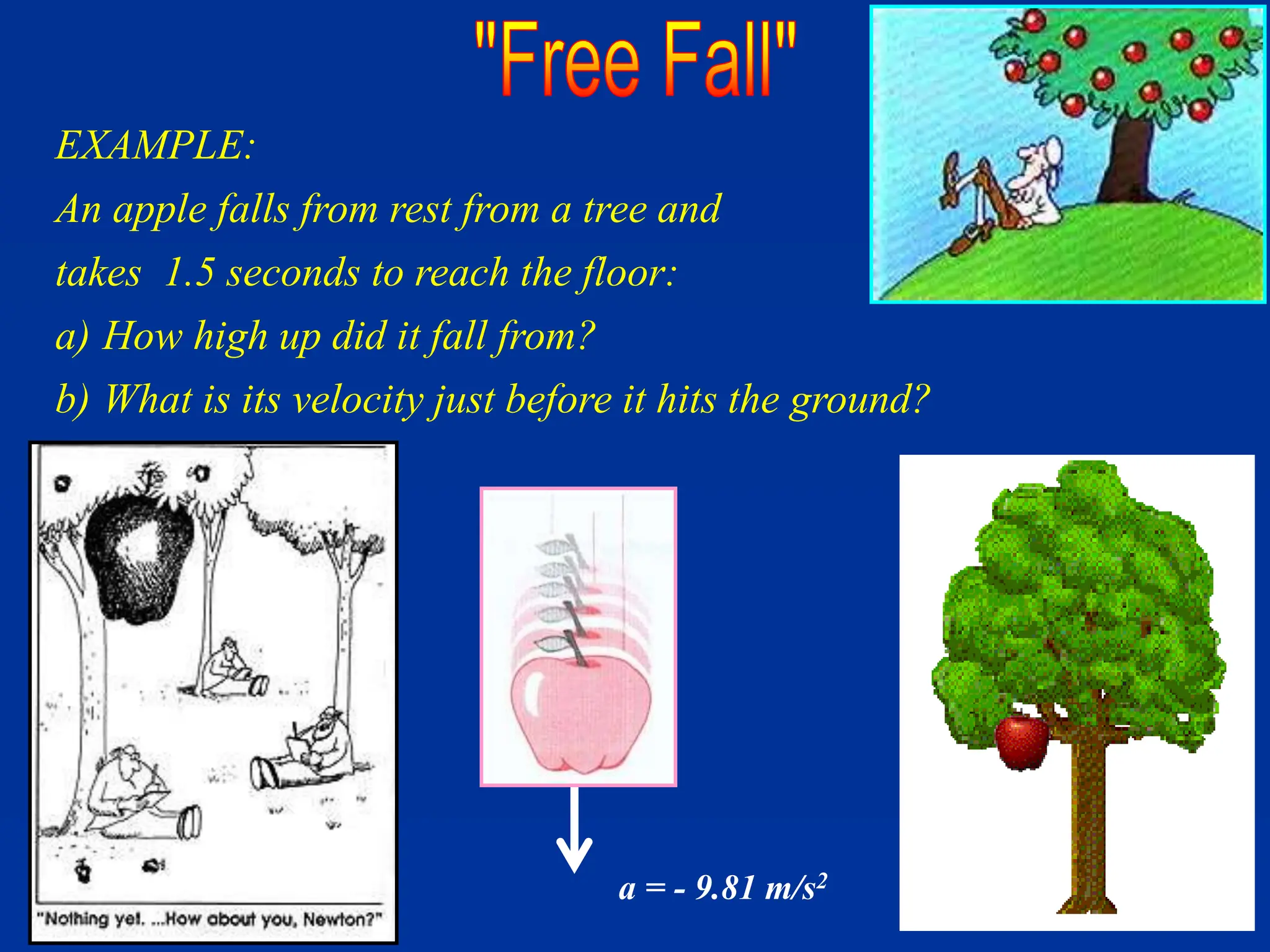 Free-Fall.ppt