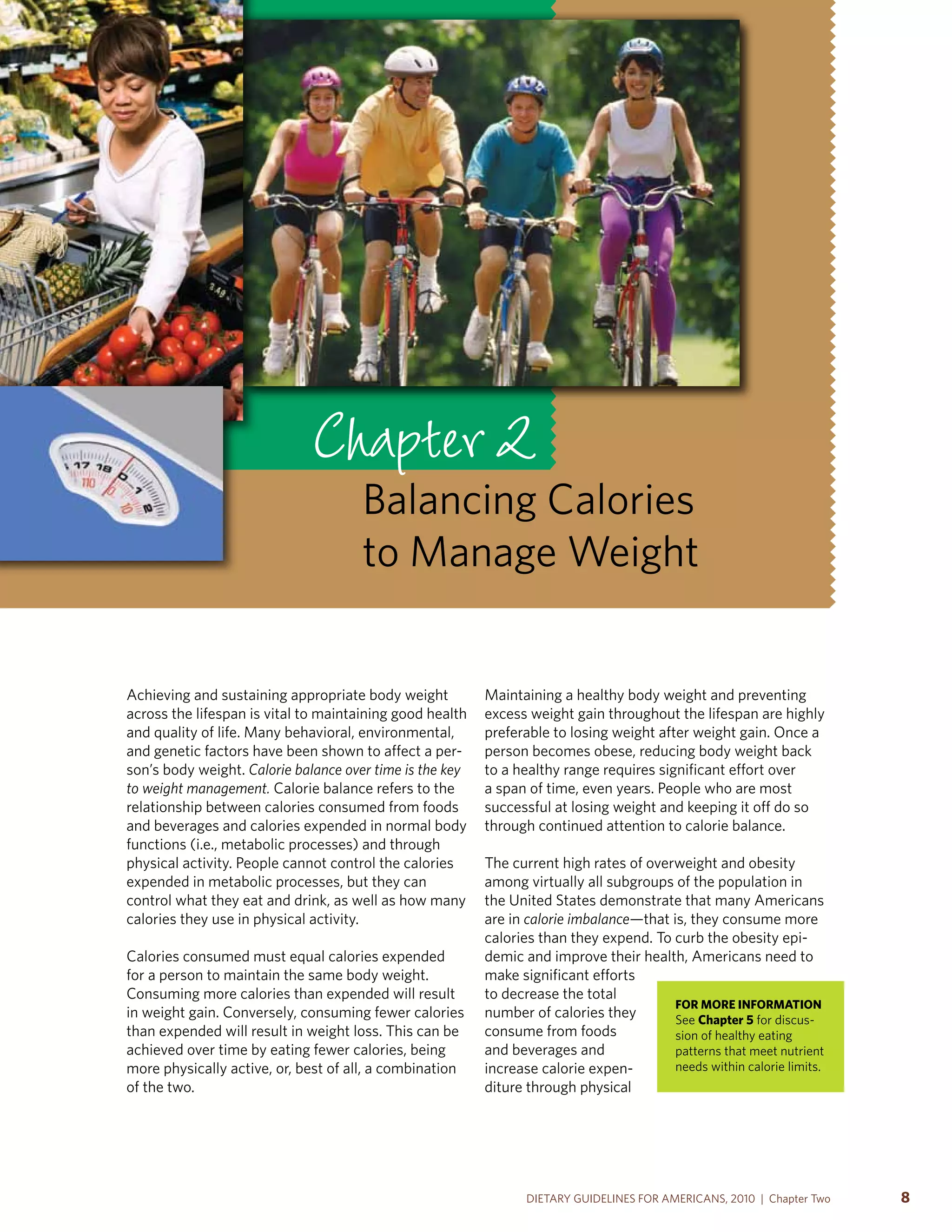 Free Healthy Eating Dietary Guide For Americans 2010 | PDF