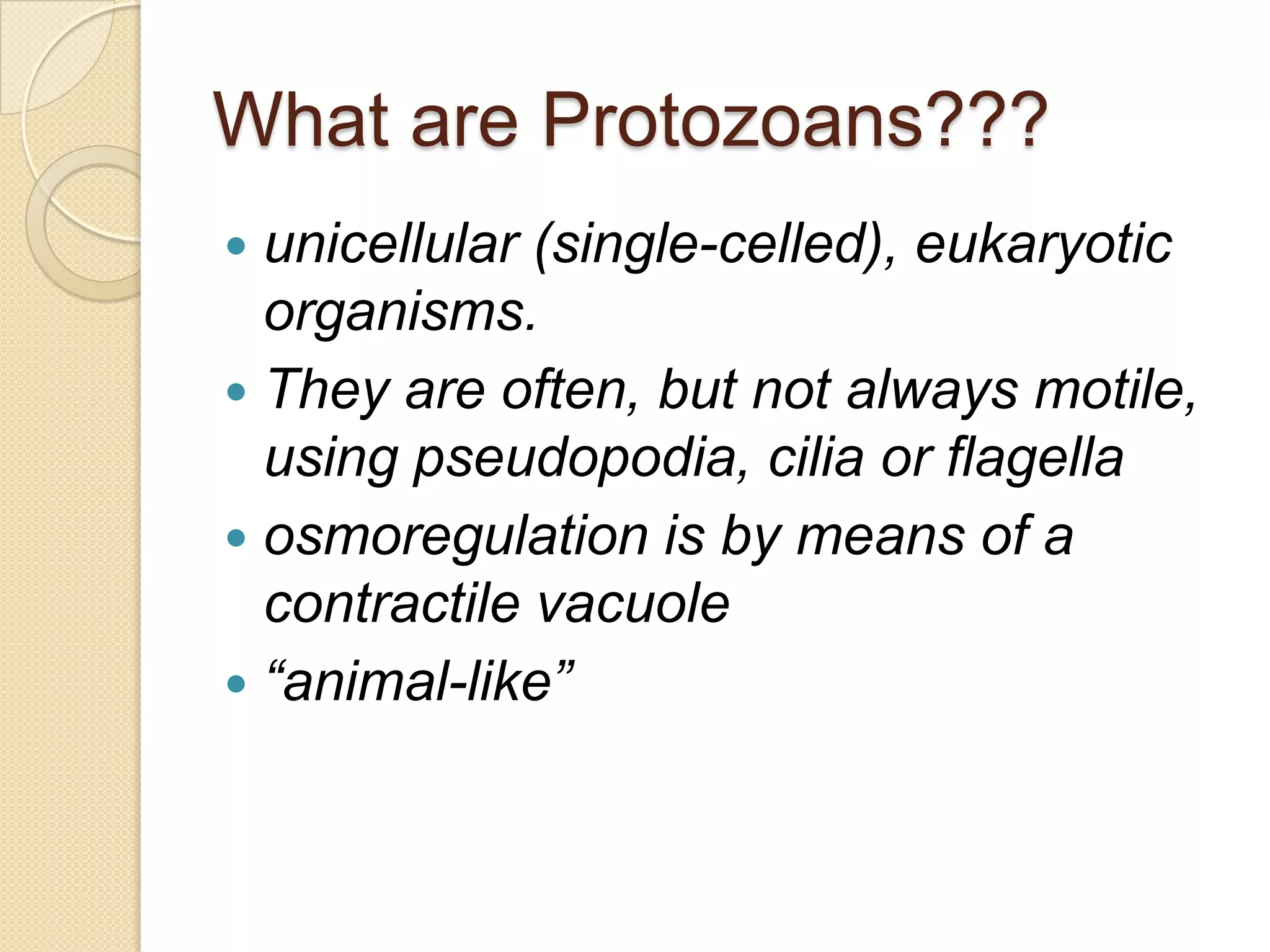 Free Living Protozoans | PPTX