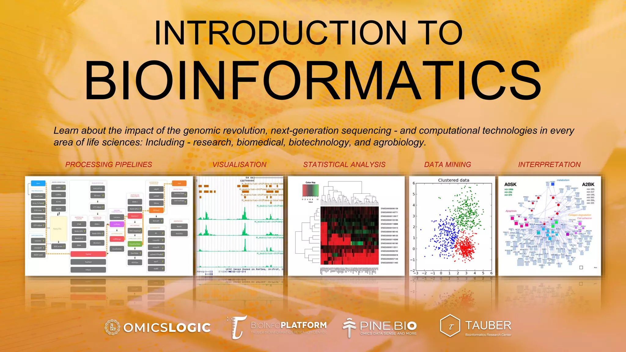 Free webinar-introduction to bioinformatics - biologist-1 | PPTX ...