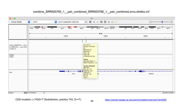 Free webinar-introduction to bioinformatics - biologist-1 | PPTX ...