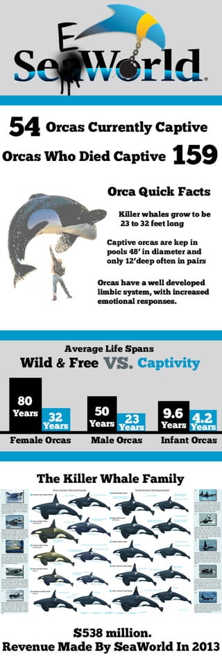 Free willy | PDF