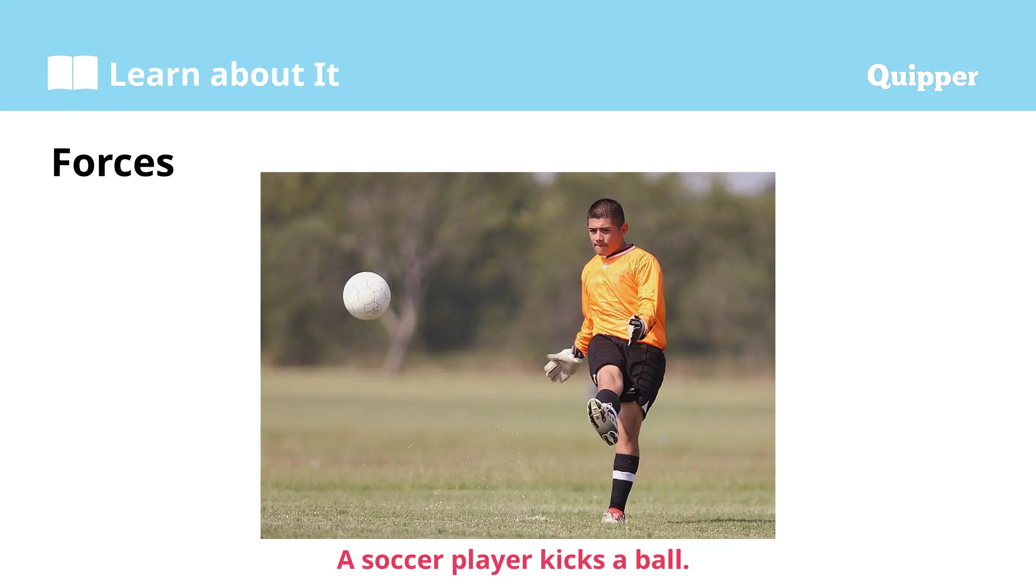 Science VII: Quarter I: Lesson 1:Free body diagram | PPTX