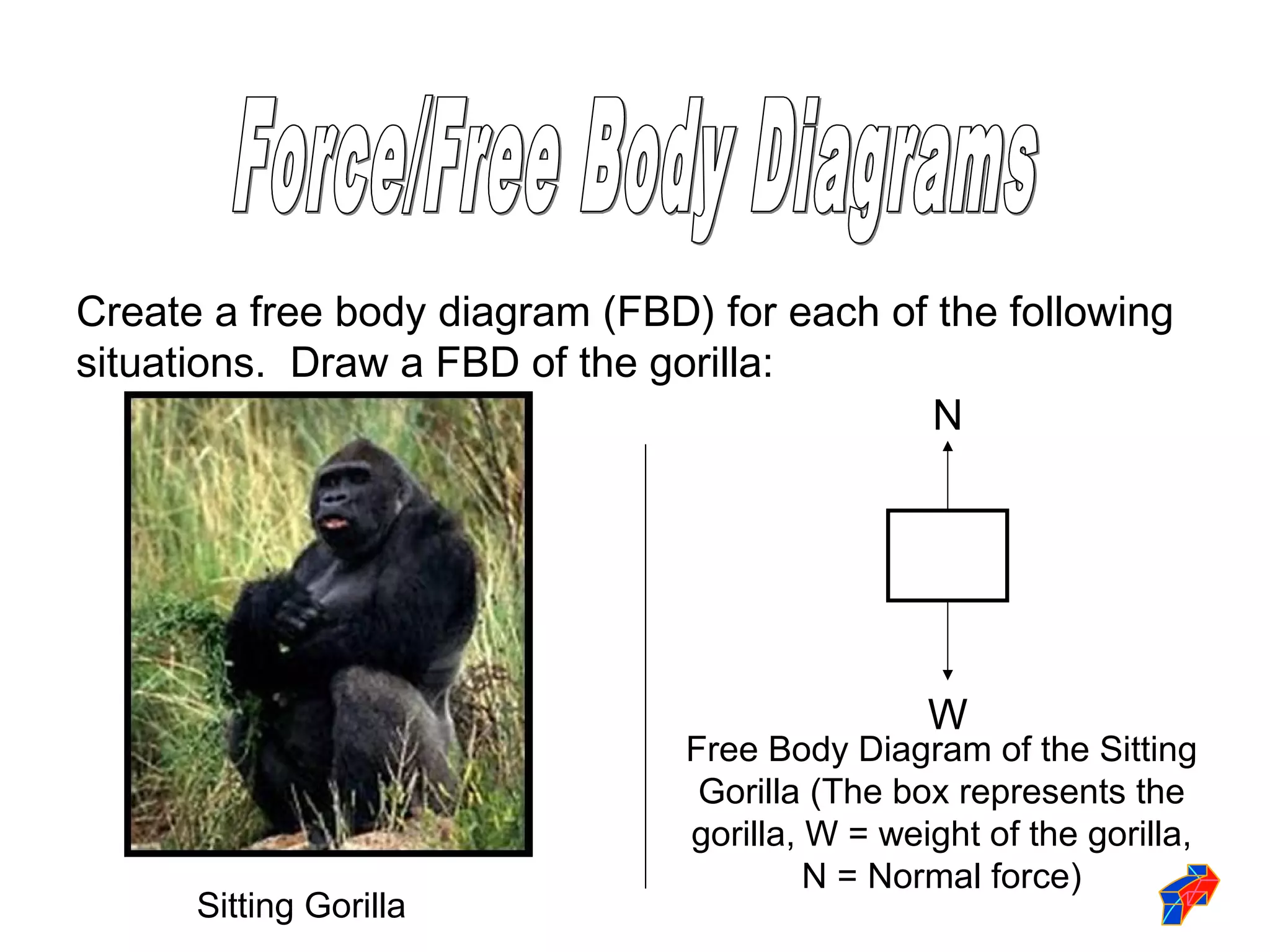 Free body diagrams | PPT | Physics | Science