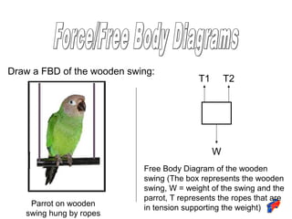 Free body diagrams | PPT
