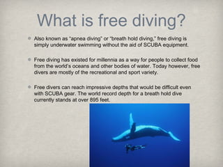 Freediving | PPT