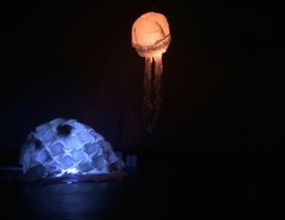 Freedom Project | PDF