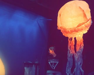 Freedom Project | PDF