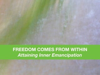 Freedom Comes from Within | PPT | Free Download