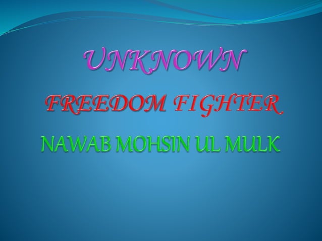 unknown fredom fighter | PPT
