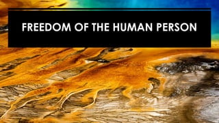 freedom of the human person.pptx introduction | PPTX