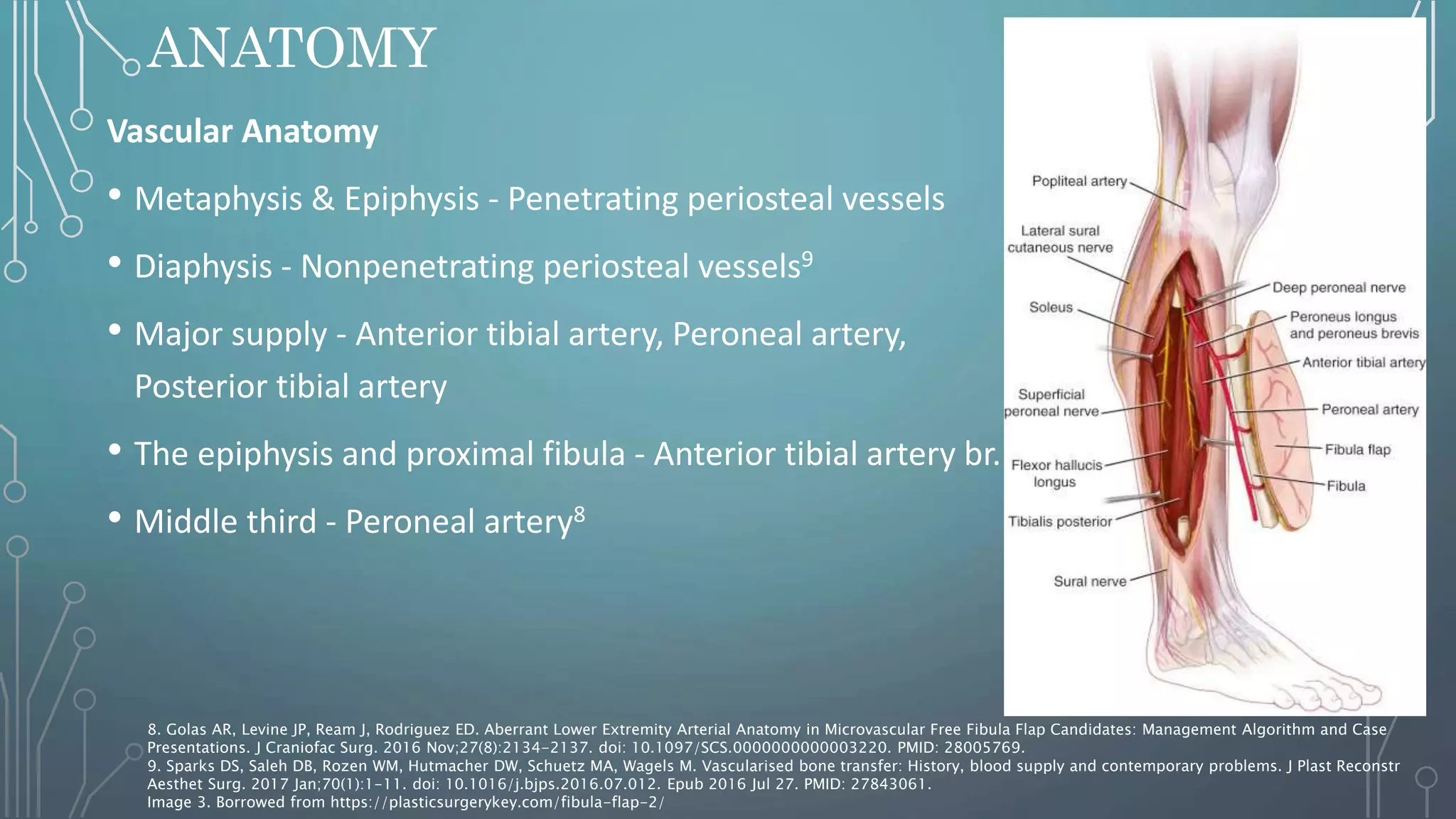 Free fibula flap OMFS 2021 journal club presentation | PPTX