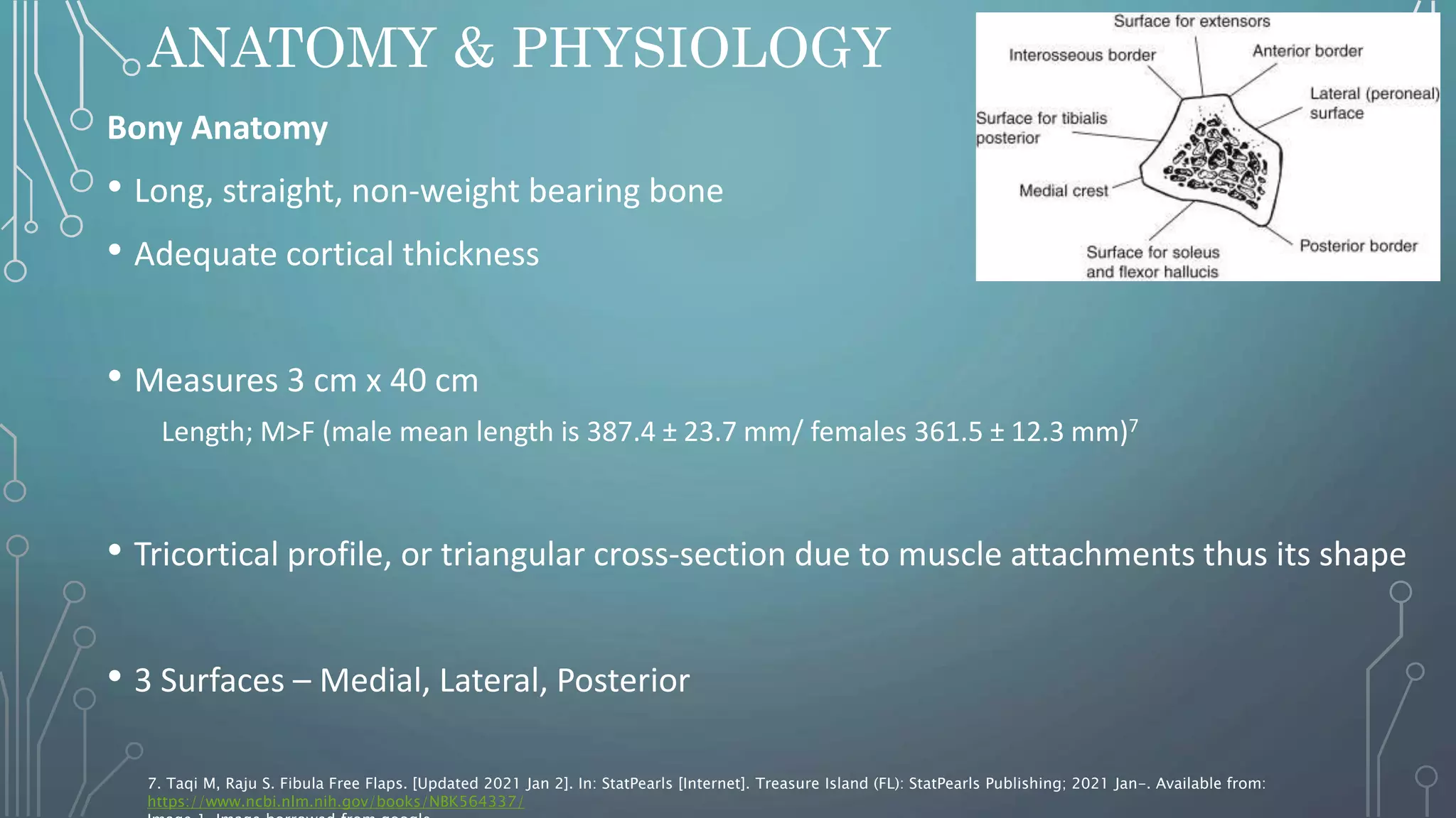 Free fibula flap OMFS 2021 journal club presentation | PPTX