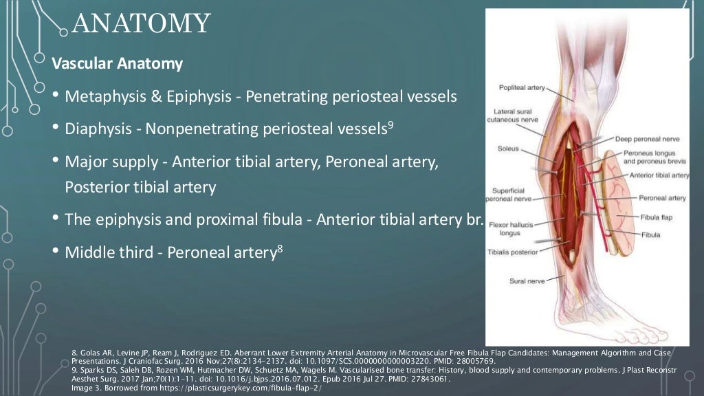 Free fibula flap OMFS 2021 journal club presentation