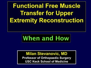 Free functional muscle belgrade VMA 2011 | PPT