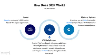 Free Intro to DRIP Guide.pdf