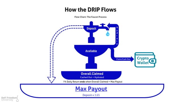 Free Intro to DRIP Guide.pdf