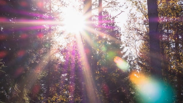 FREEKindergartenWeatherPowerPointforACARAFoundationLevel-1.pptx