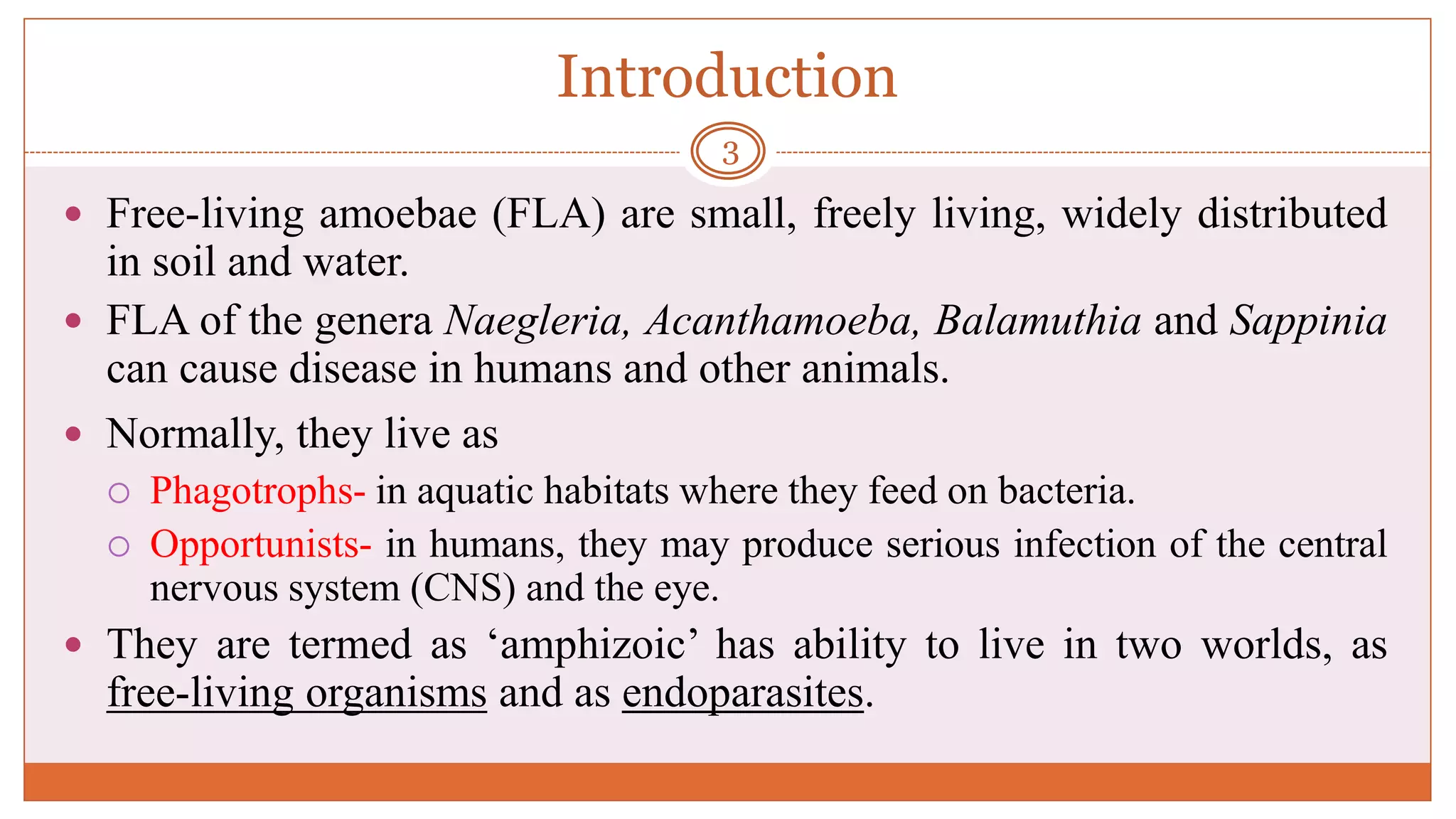 Free living amoebae | PPTX