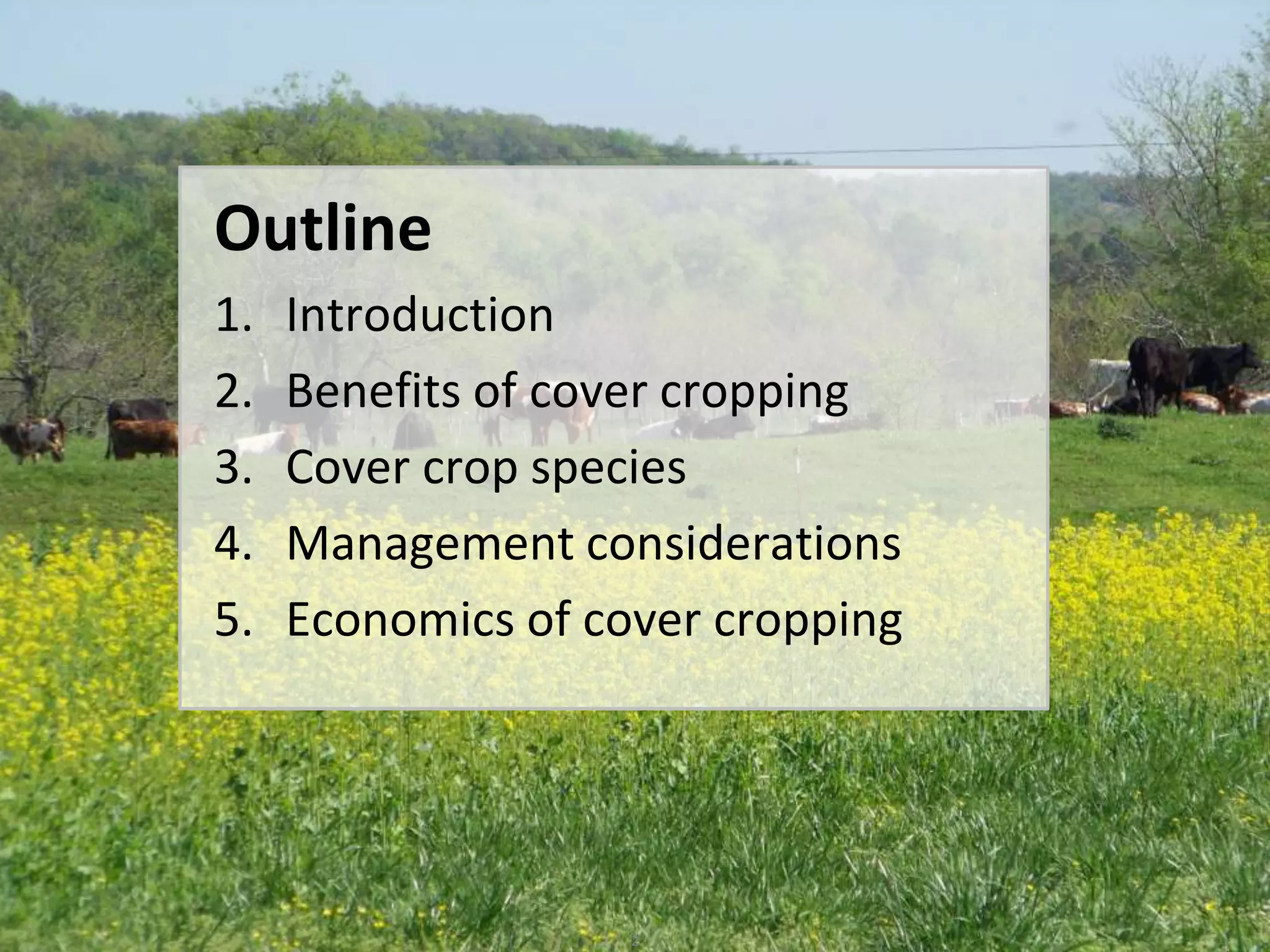 Cover Cropping for Regenerative Agriculture | PDF