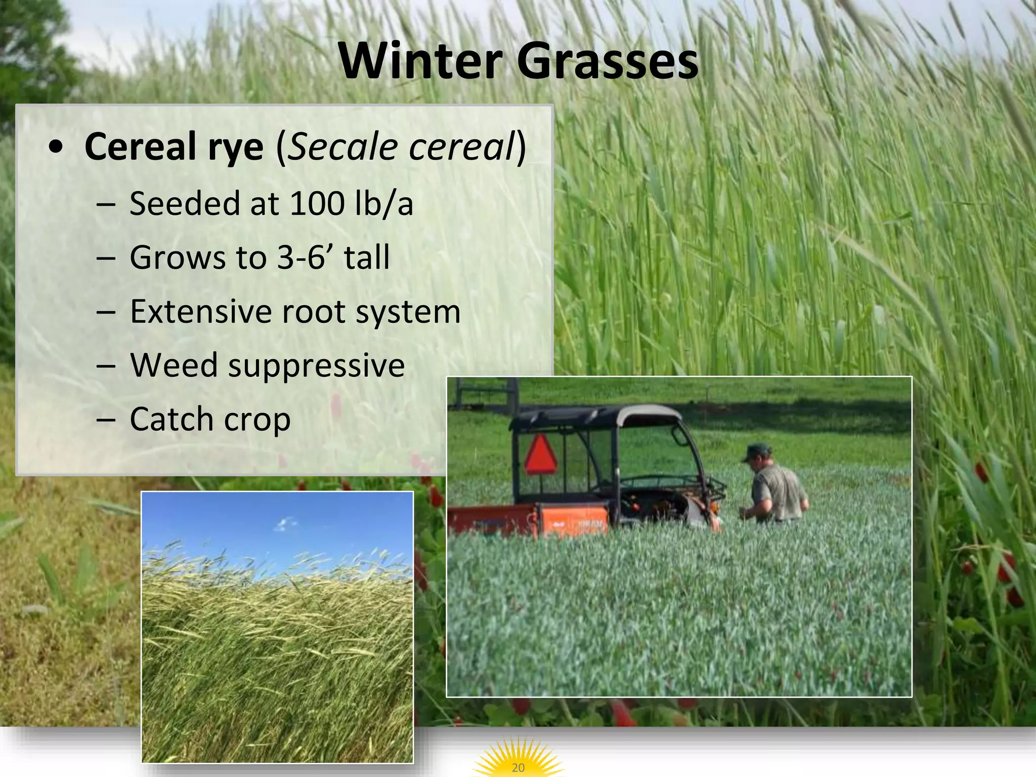 Cover Cropping for Regenerative Agriculture | PDF