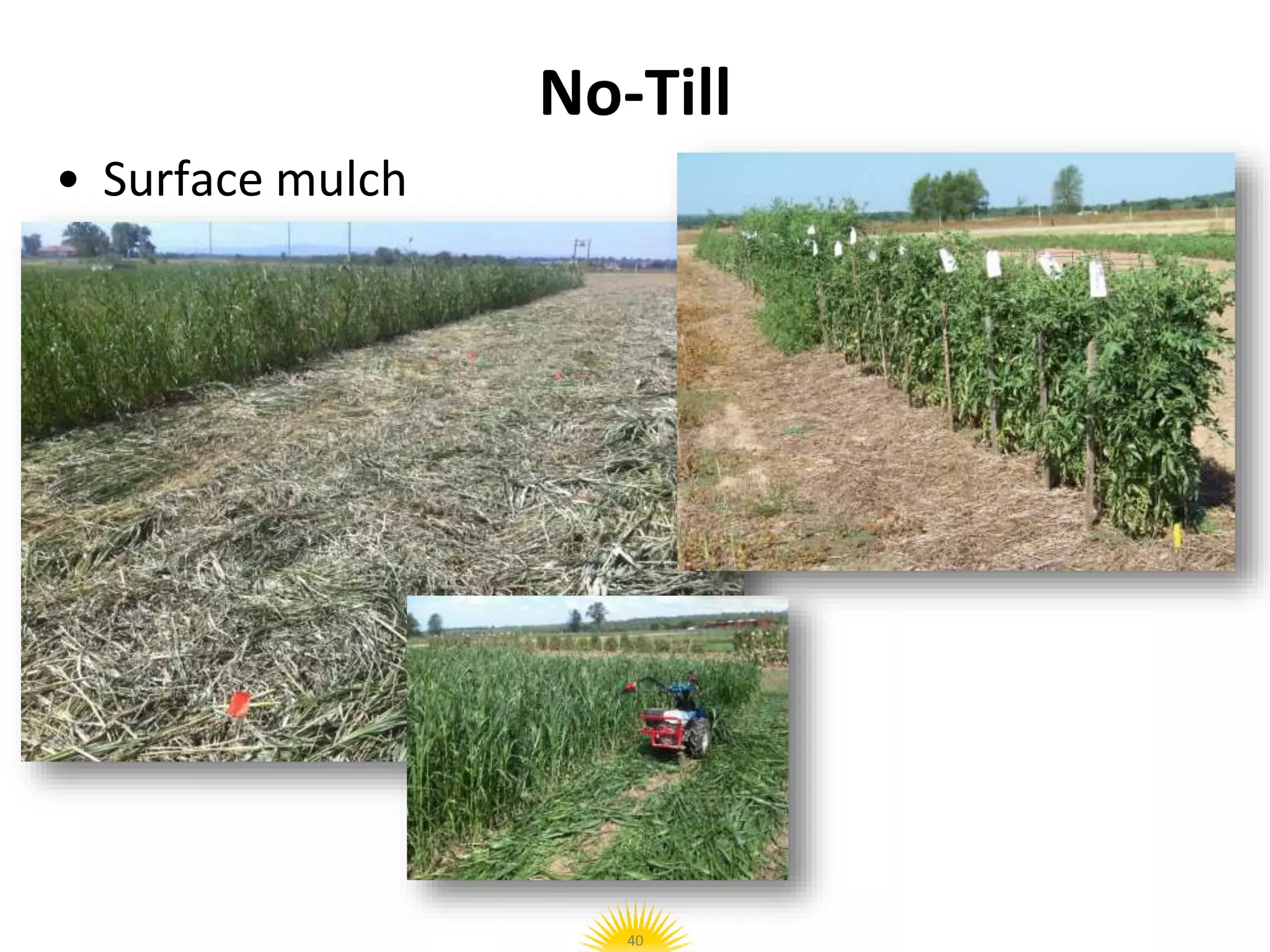 Cover Cropping for Regenerative Agriculture | PDF